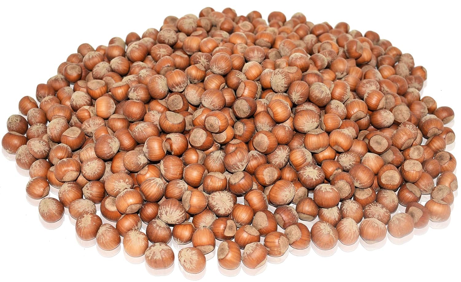 10 Lbs Oregon Hazelnuts - Kosher & Non-GMO | Anna and Sarah