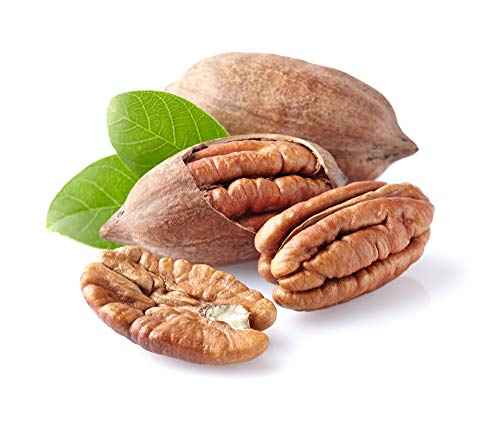 Buy Georgian Hard Shell Pecans - 9 Lbs Box | Anna and Sarah