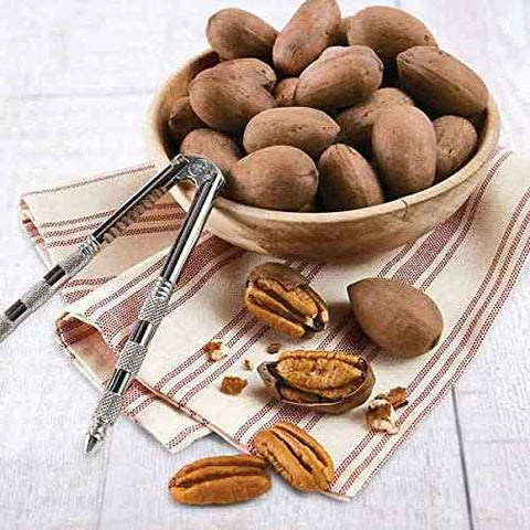 Buy Georgian Hard Shell Pecans - 9 Lbs Box | Anna and Sarah